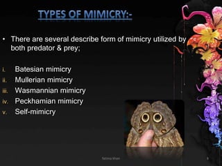 mimicry | PPTX