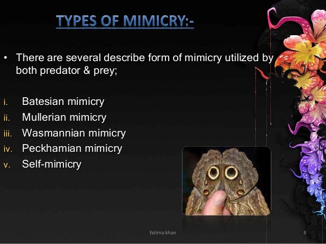 mimicry