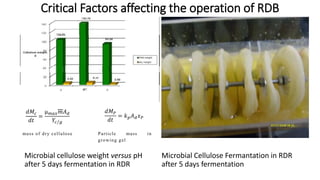 Rotary Disc Bioreactors | PPTX