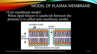 Structure and function plasma membrane | PPTX