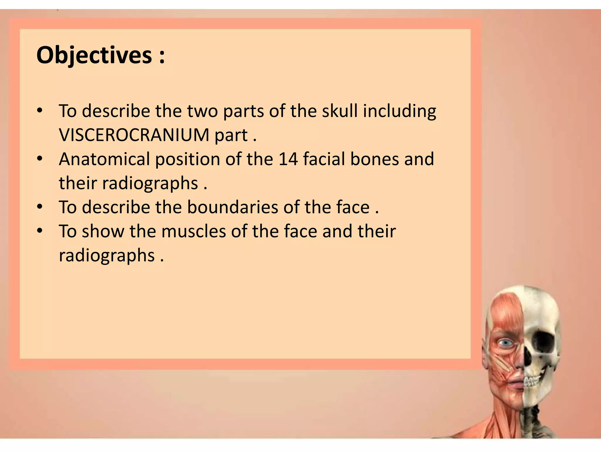 Radiographic anatomy of the face | PPTX