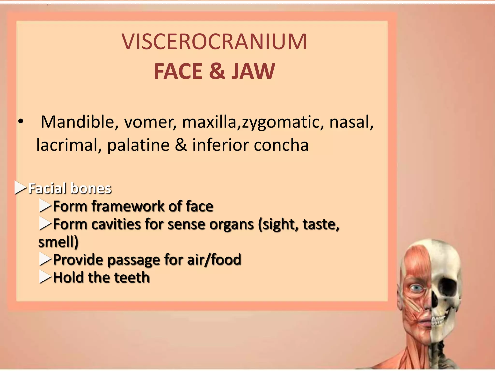 Radiographic anatomy of the face | PPTX