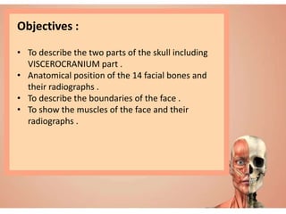 Radiographic anatomy of the face | PPTX