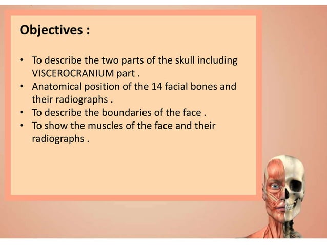 Radiographic anatomy of the face | PPTX