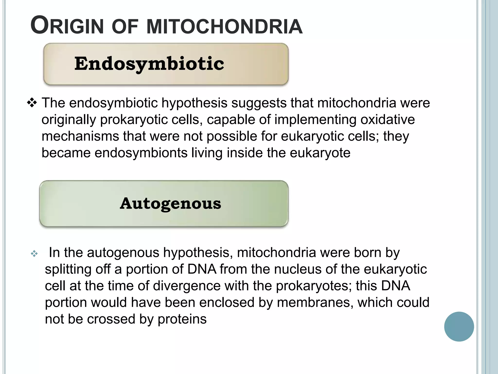 Organization and Regulation of Mitochondrial Protein Synthesis | PPTX