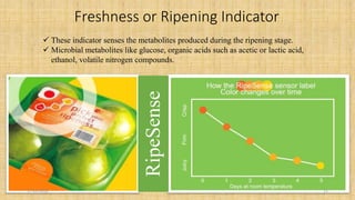 Innovative Food Packaging for reducing food waste | PPTX