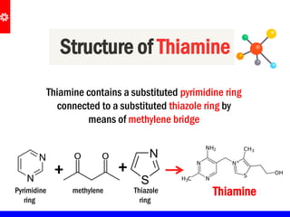 vitamin B1 | PDF