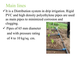 drip irrigation | PPTX | Agriculture | Industries