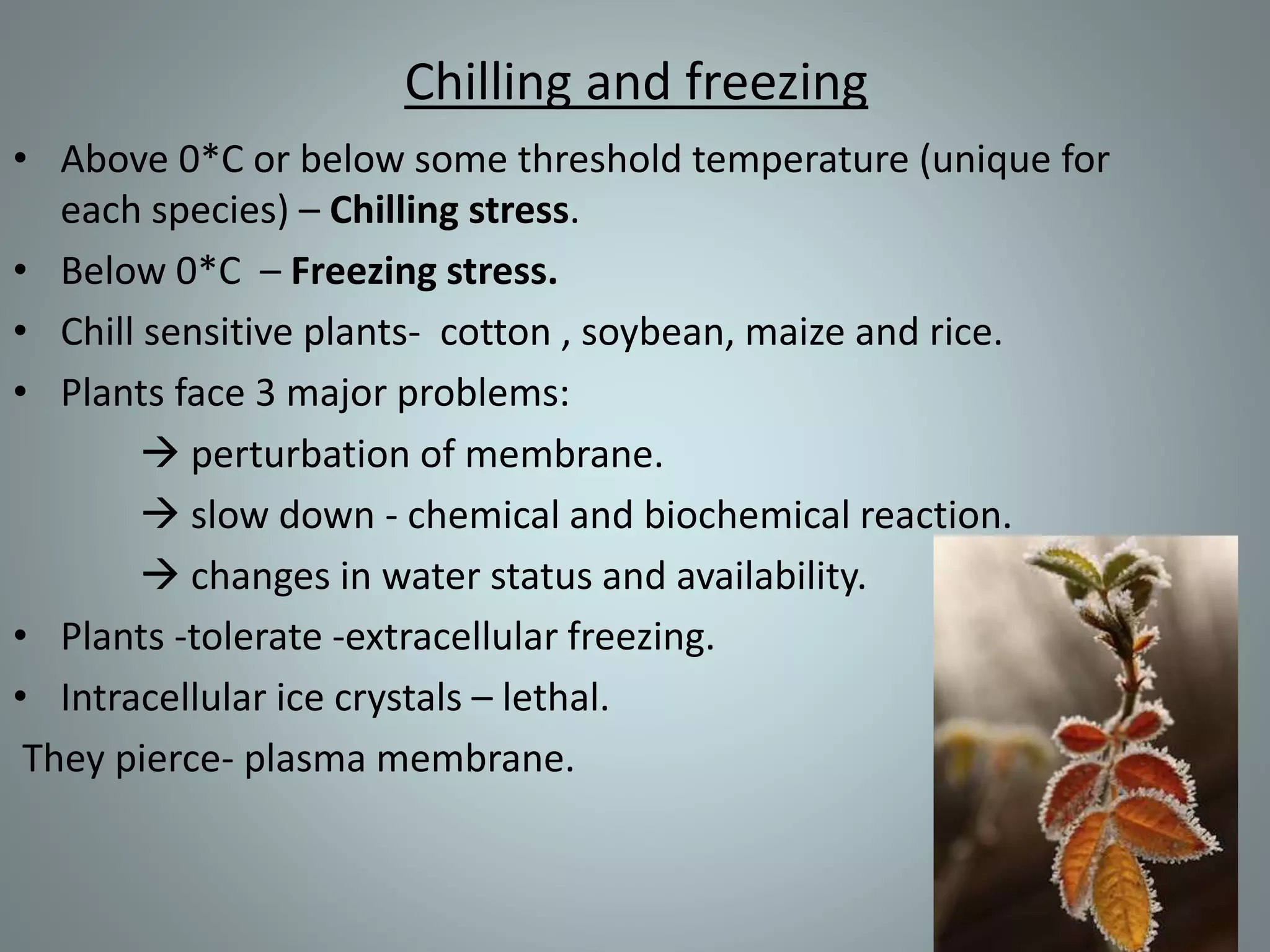 Biotic and Abitic stress response | PPTX