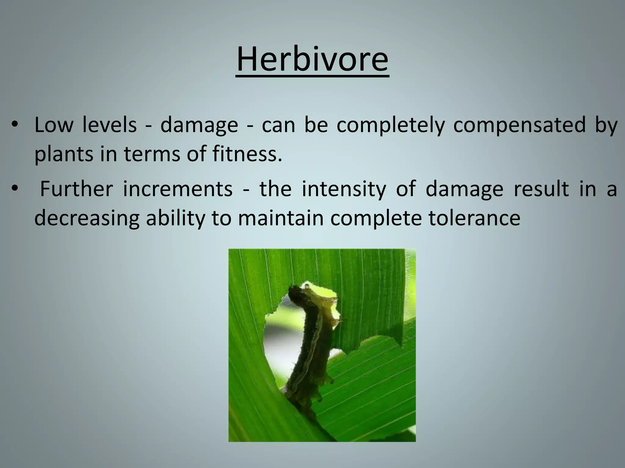 Biotic and Abitic stress response | PPTX