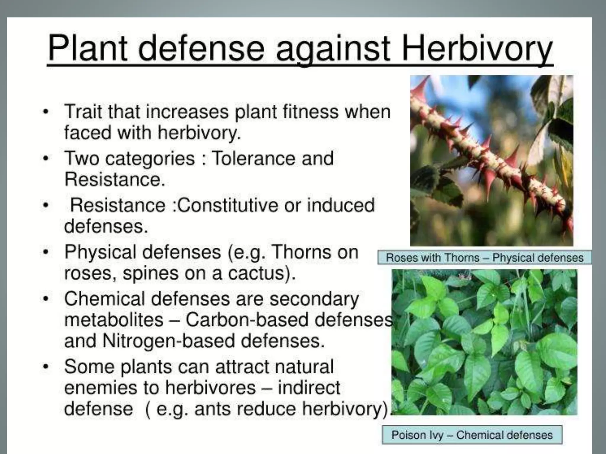 Biotic and Abitic stress response | PPTX