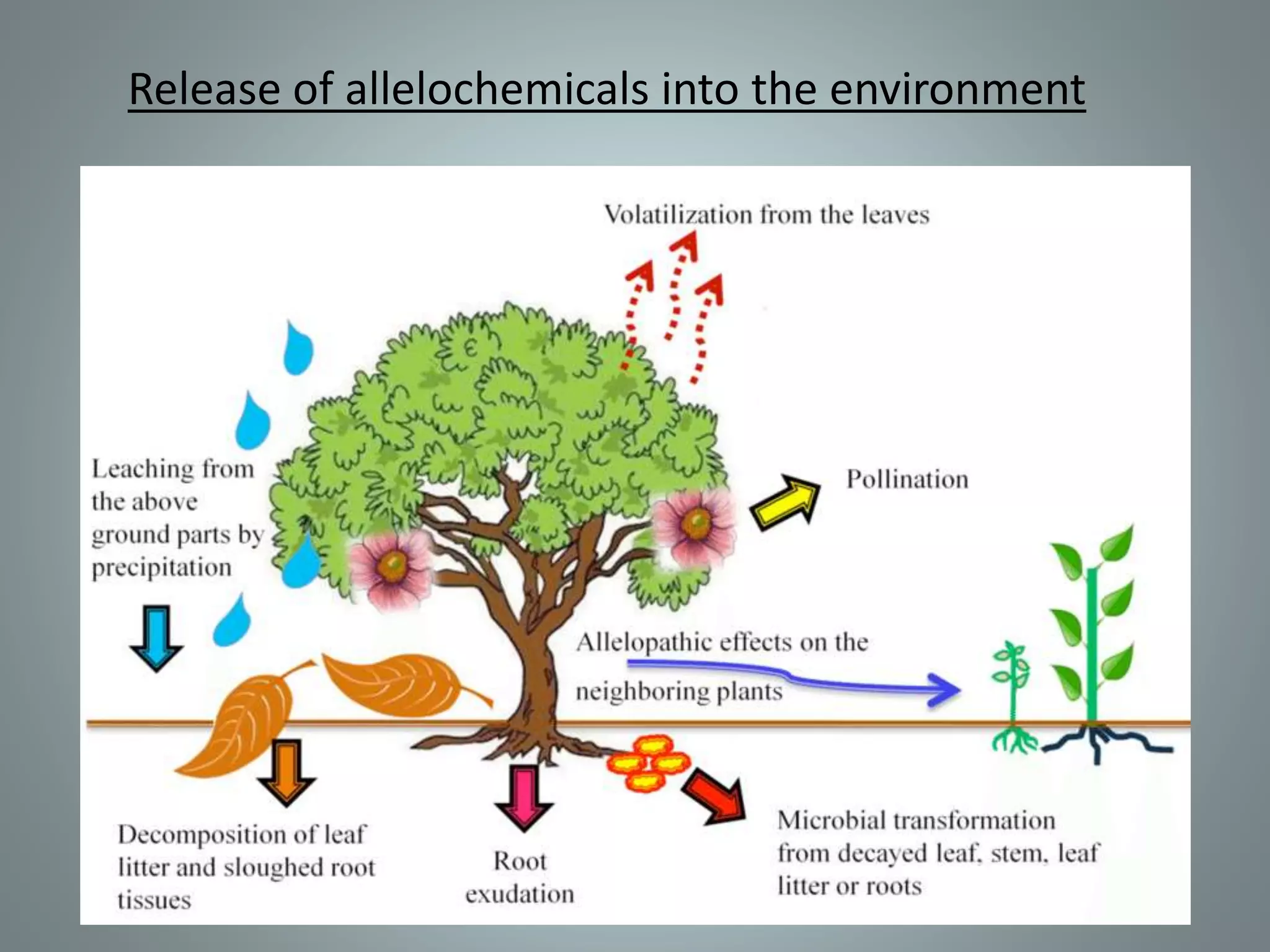 Biotic and Abitic stress response | PPTX