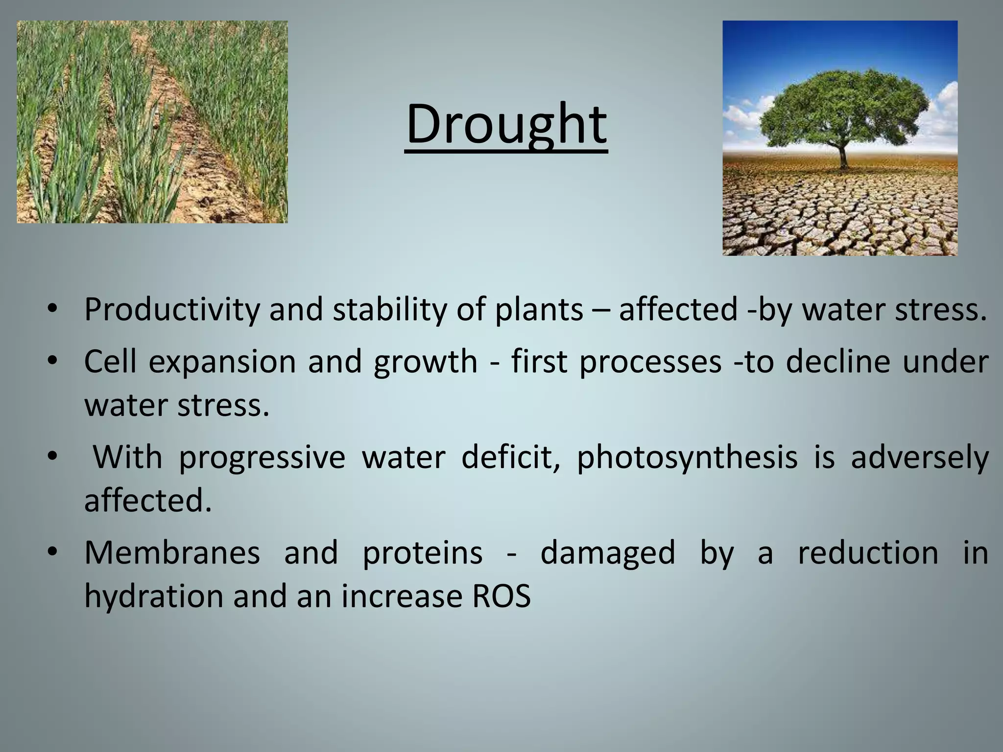 Biotic and Abitic stress response | PPTX