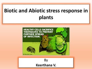 Biotic and Abitic stress response | PPTX
