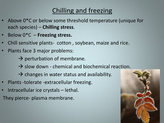 Biotic and Abitic stress response | PPTX