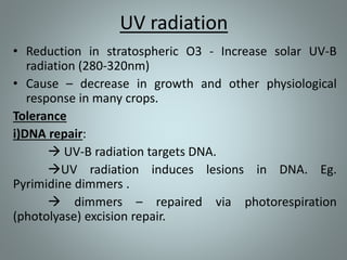 Biotic and Abitic stress response | PPTX