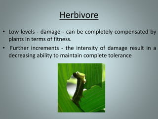 Biotic and Abitic stress response | PPTX