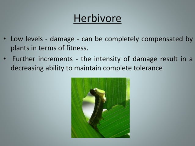 Biotic and Abitic stress response | PPTX | Gardening | Home & Garden