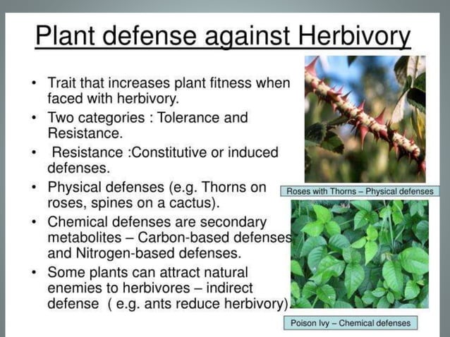 Biotic and Abitic stress response | PPTX | Gardening | Home & Garden