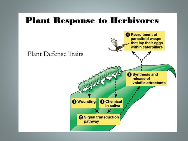 Biotic and Abitic stress response | PPTX | Gardening | Home & Garden
