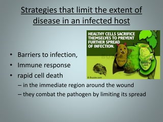 Biotic and Abitic stress response | PPTX