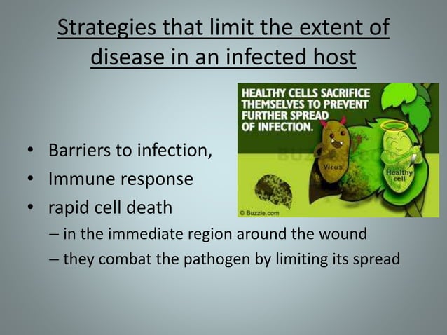 Biotic and Abitic stress response | PPTX | Gardening | Home & Garden