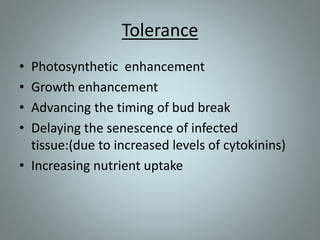Biotic and Abitic stress response | PPTX