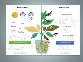 Biotic and Abitic stress response | PPTX