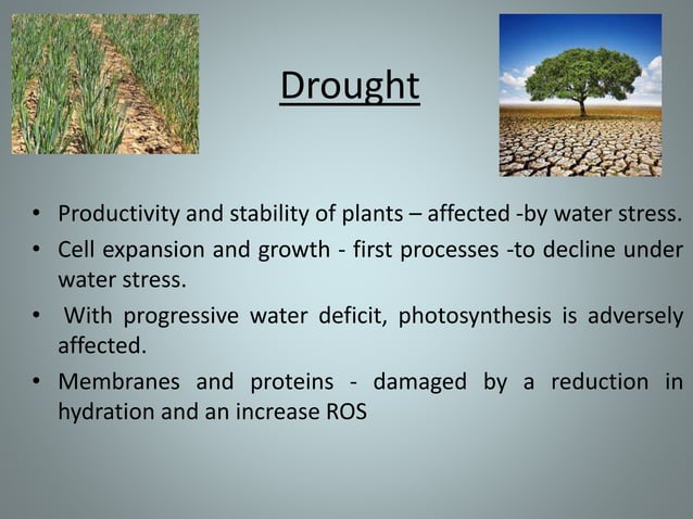 Biotic and Abitic stress response | PPTX | Gardening | Home & Garden