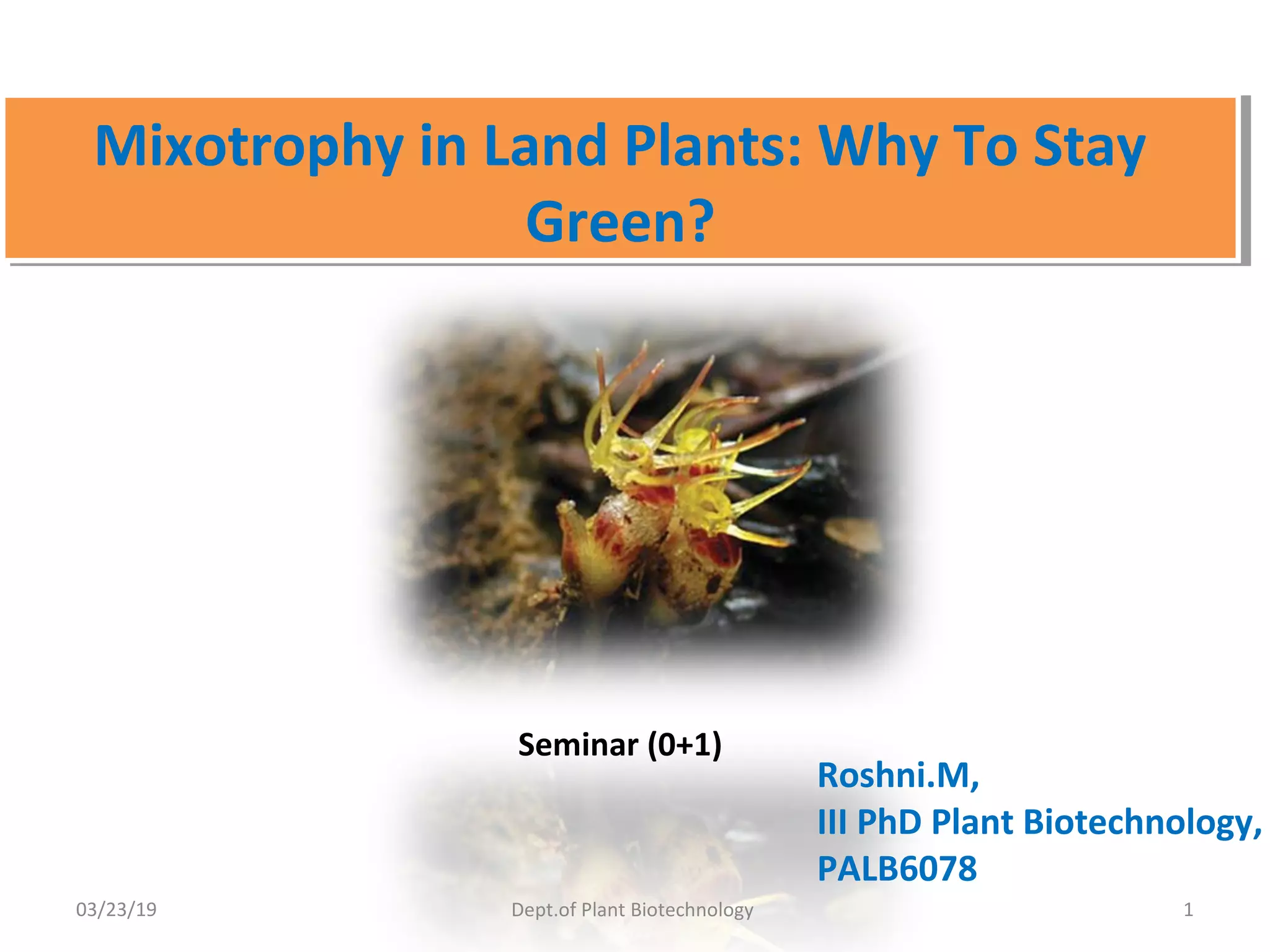mixotrophs | PPT