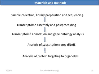 mixotrophs | PPT