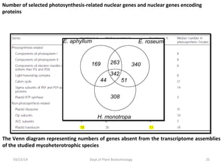 mixotrophs | PPT