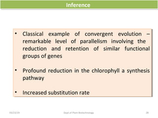 mixotrophs | PPT