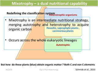 mixotrophs | PPT | Gardening | Home & Garden