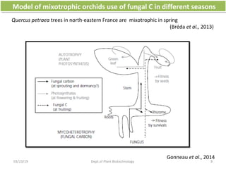 mixotrophs | PPT