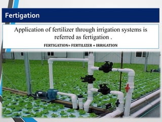 Effect of fertigation on increasing the crop productivity and nutrient ...