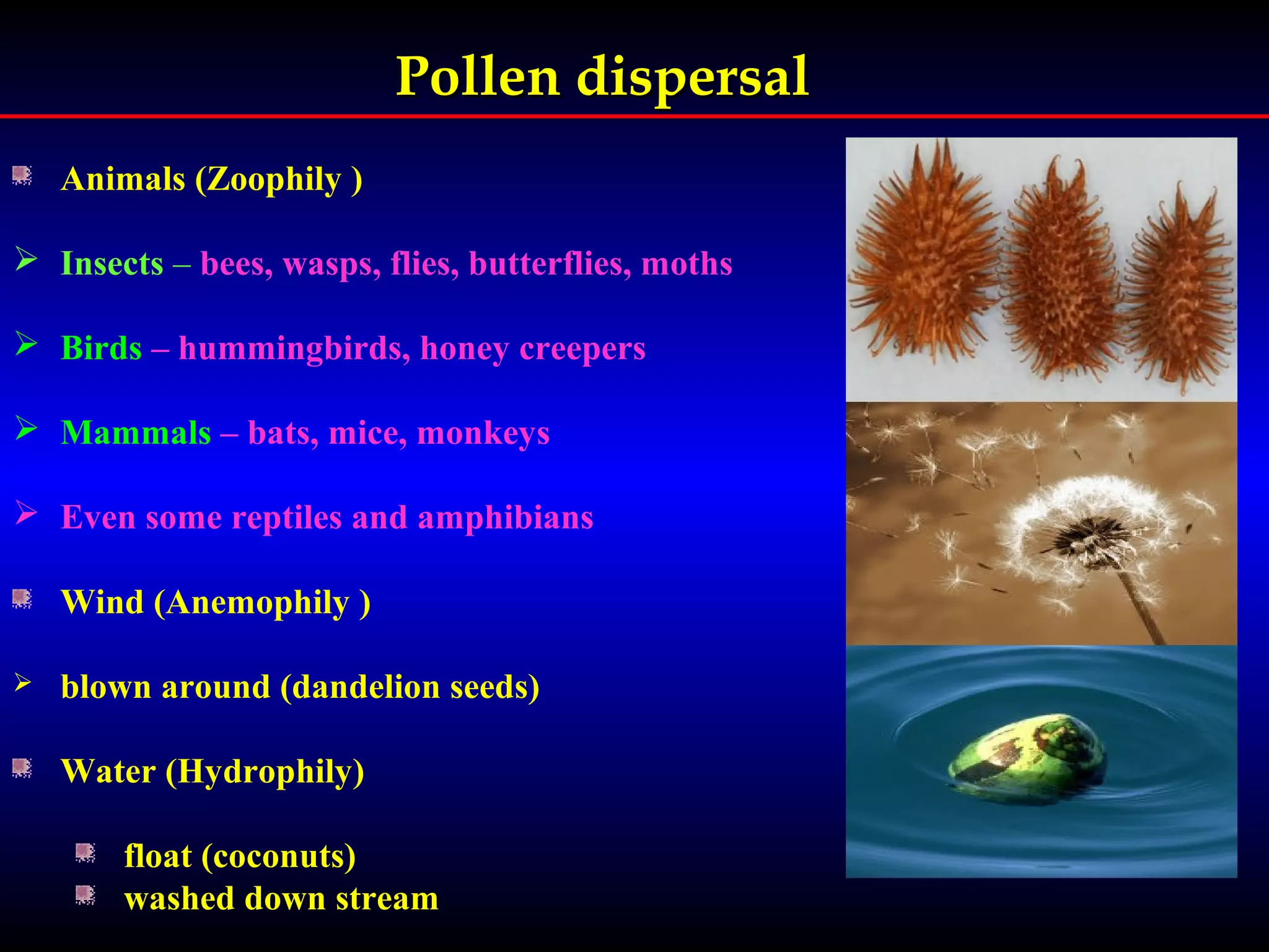 Pollen Biology | PPT