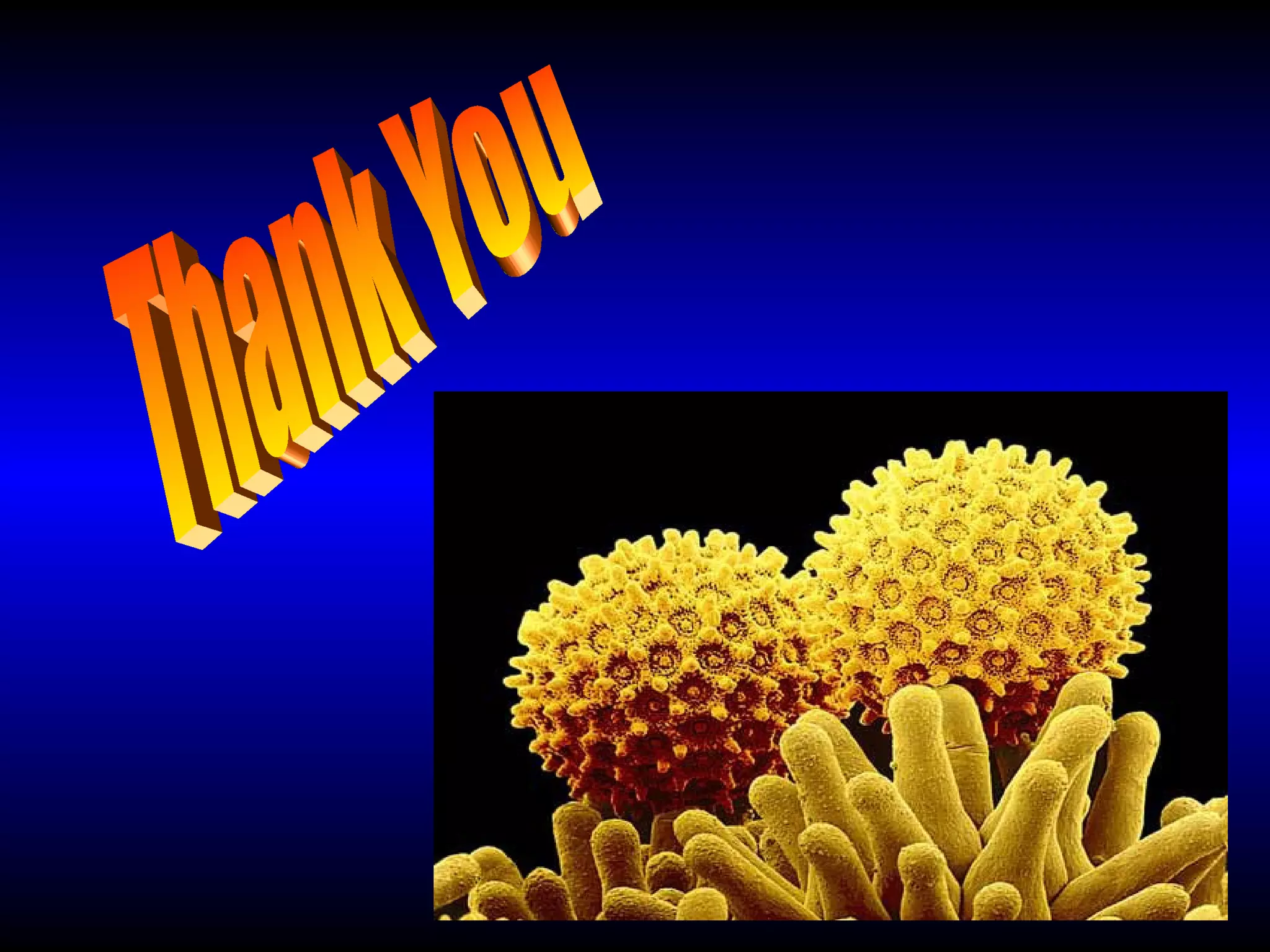 Pollen Biology | PPT | Biological Sciences | Science