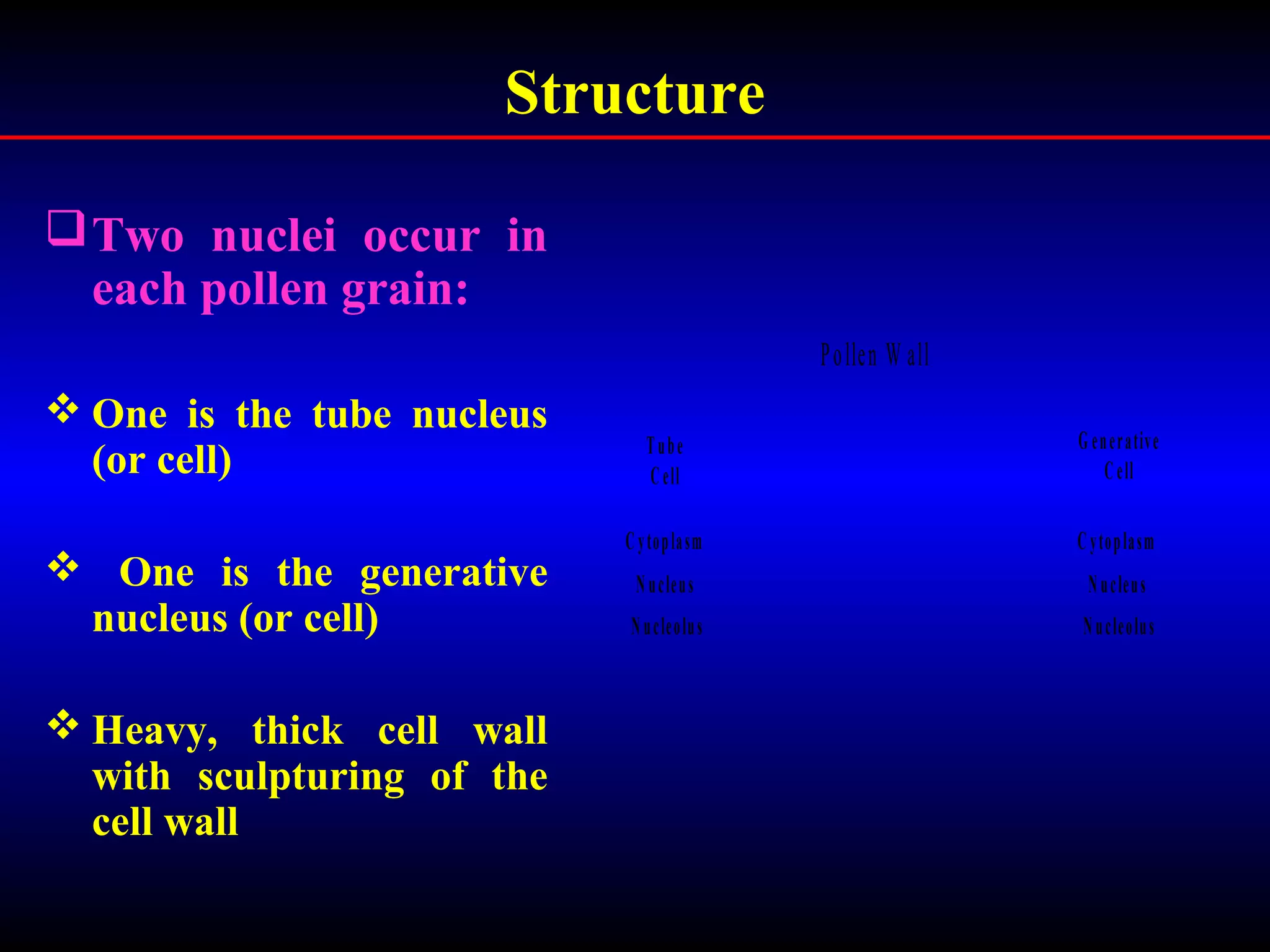 Pollen Biology | PPT