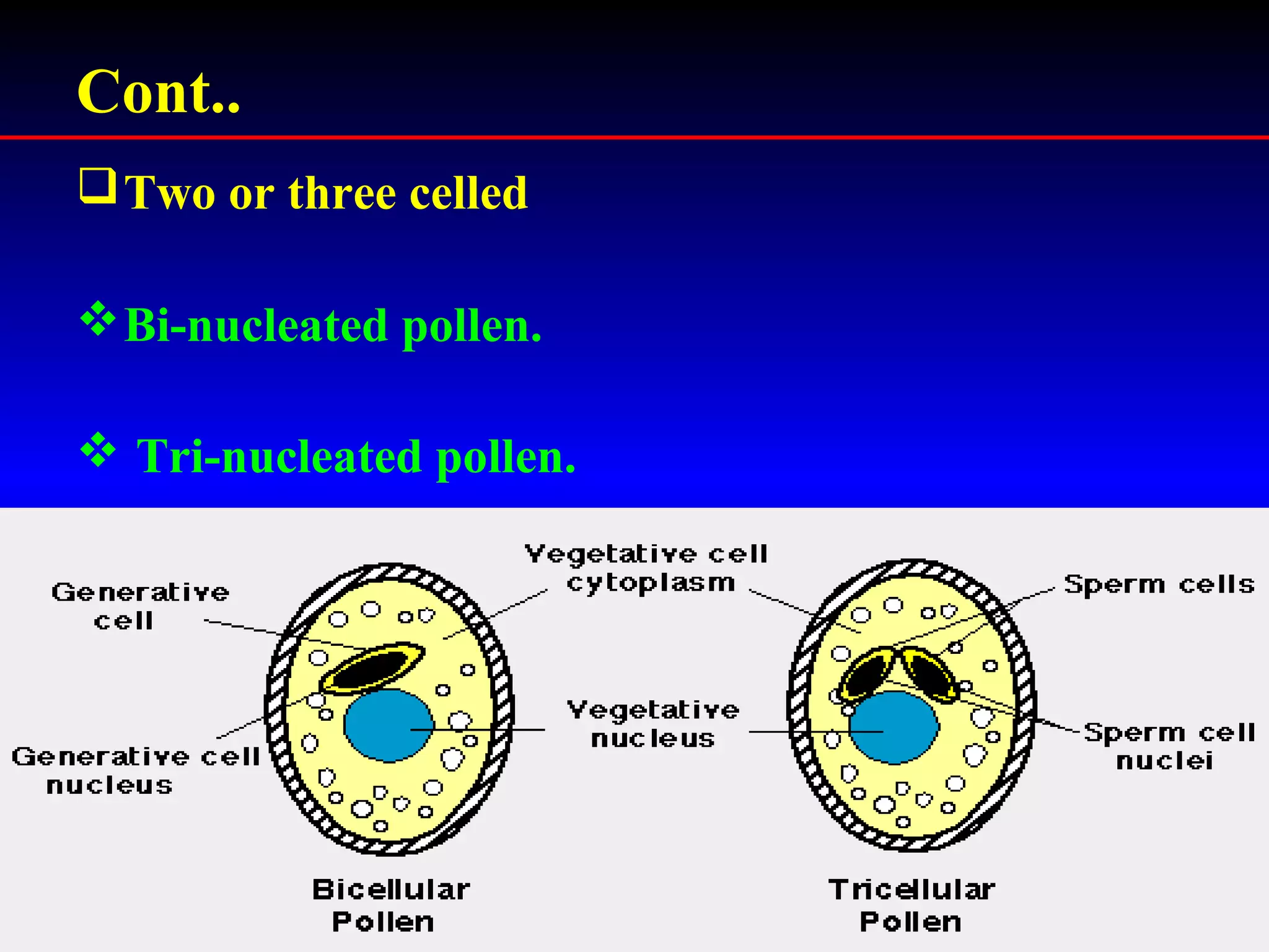 Pollen Biology | PPT | Biological Sciences | Science