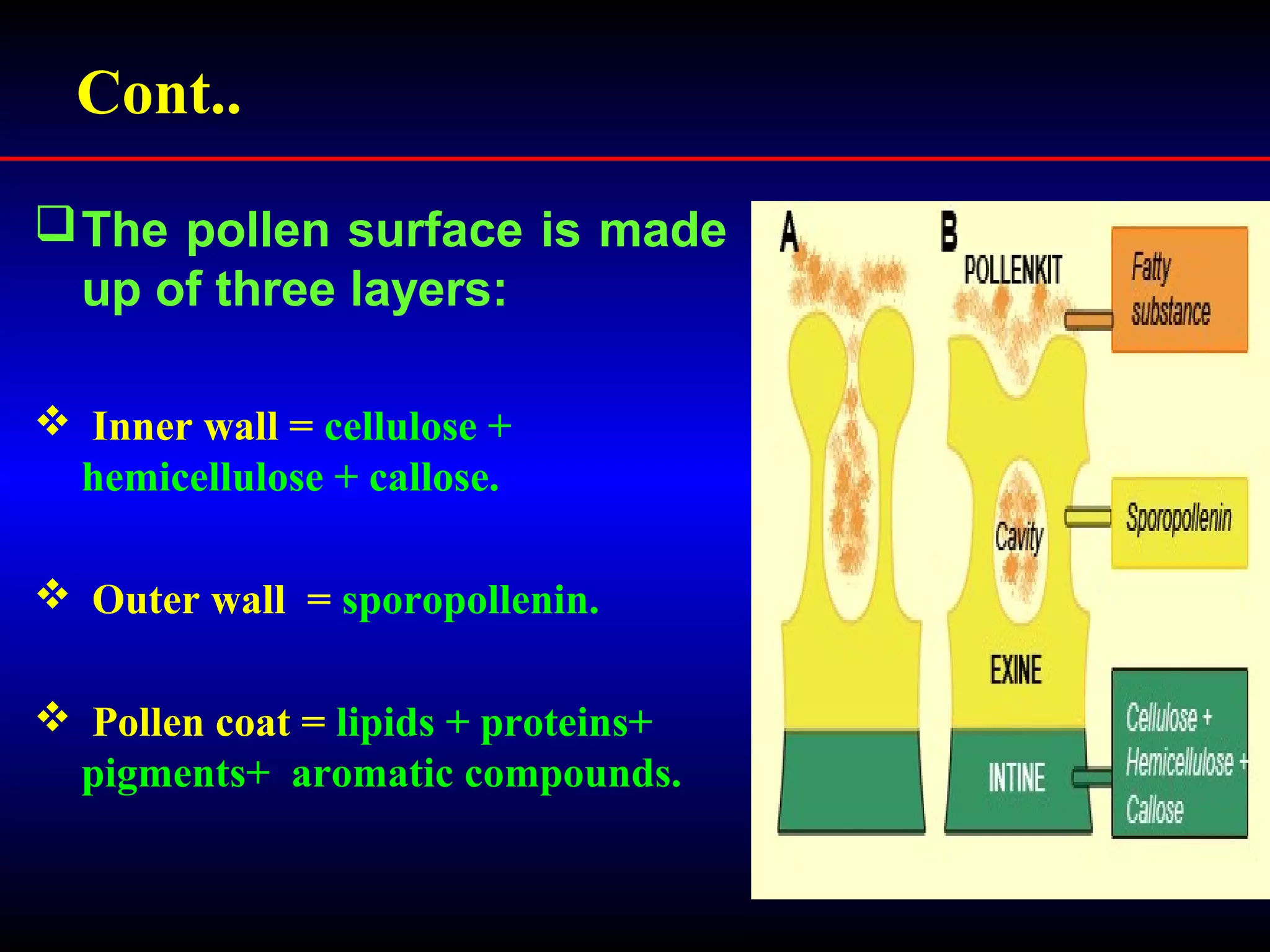 Pollen Biology | PPT