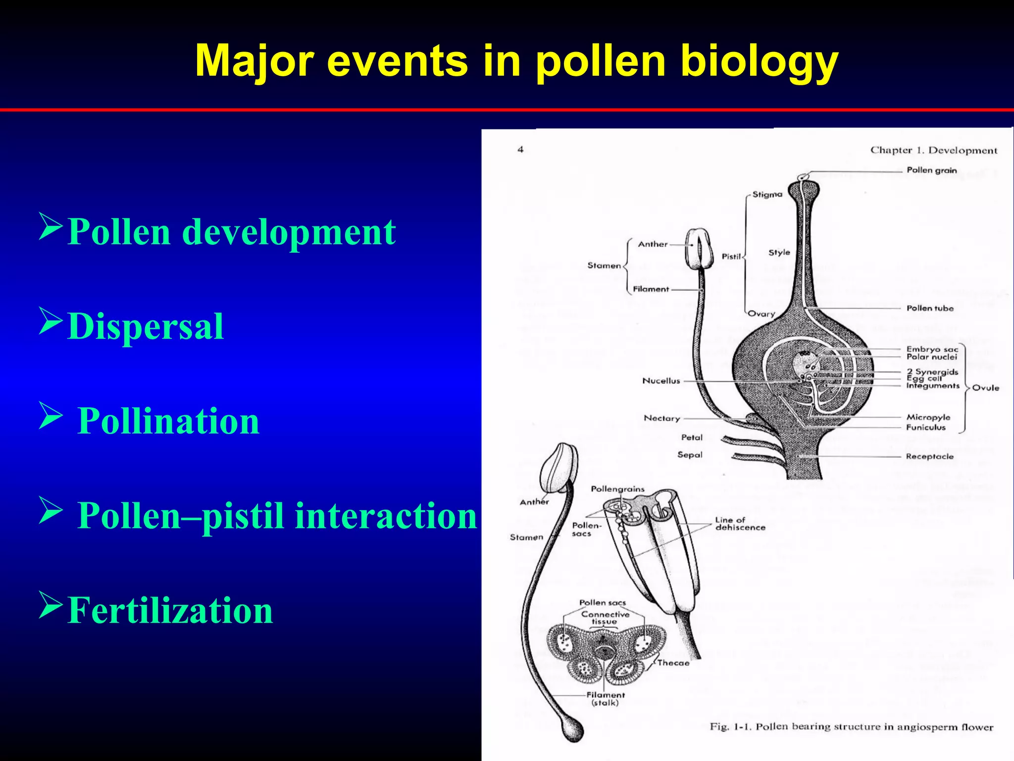 Pollen Biology | PPT