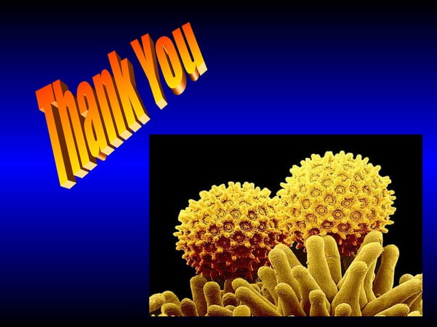 Pollen Biology | PPT | Biological Sciences | Science