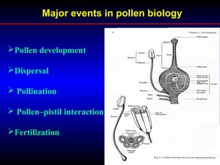 Pollen Biology | PPT