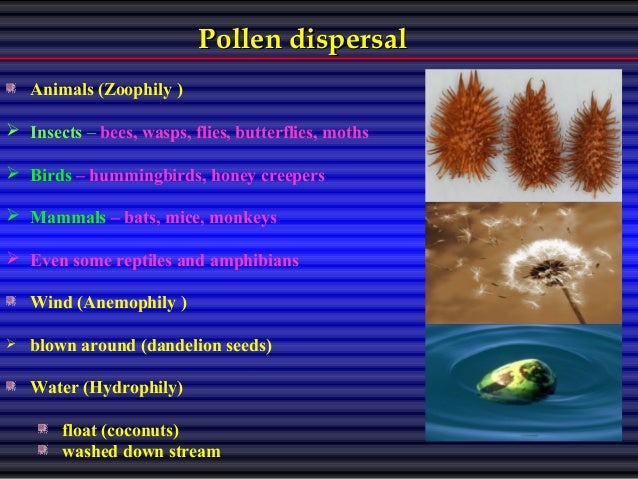 Pollen Biology