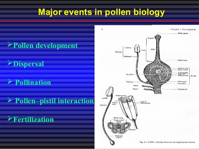 Pollen Biology