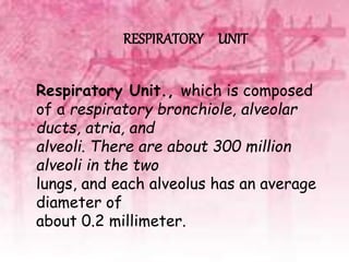 Resiration | PPTX | Lung and Respiratory Health | Diseases and Conditions