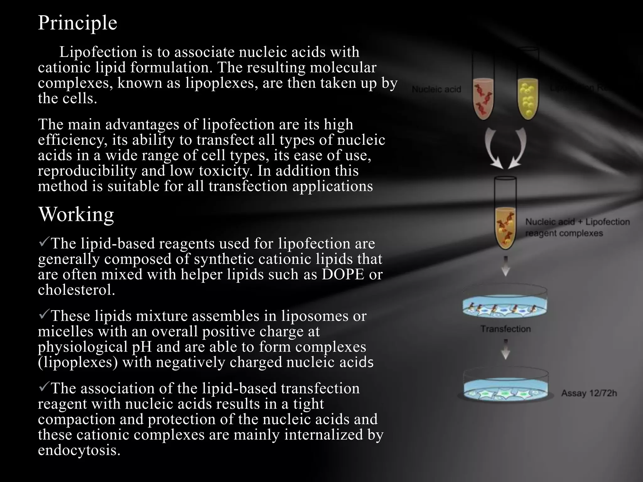 Transfection methods | PPT