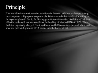 Transfection methods | PPTX