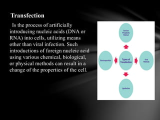 Transfection methods | PPTX